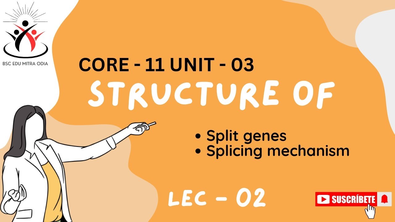 Concept of exons and introns || split genes || splicing mechanism - YouTube