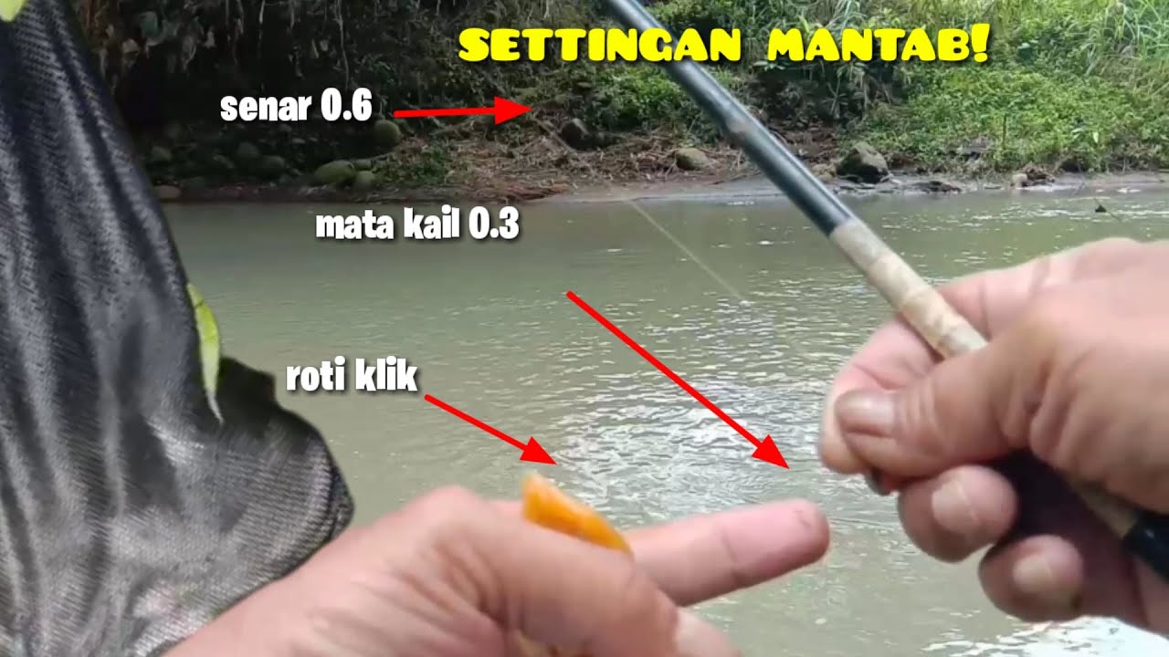 Settingan pancing ikan wader yang tepat //dijamin mantab#MJ032 - YouTube