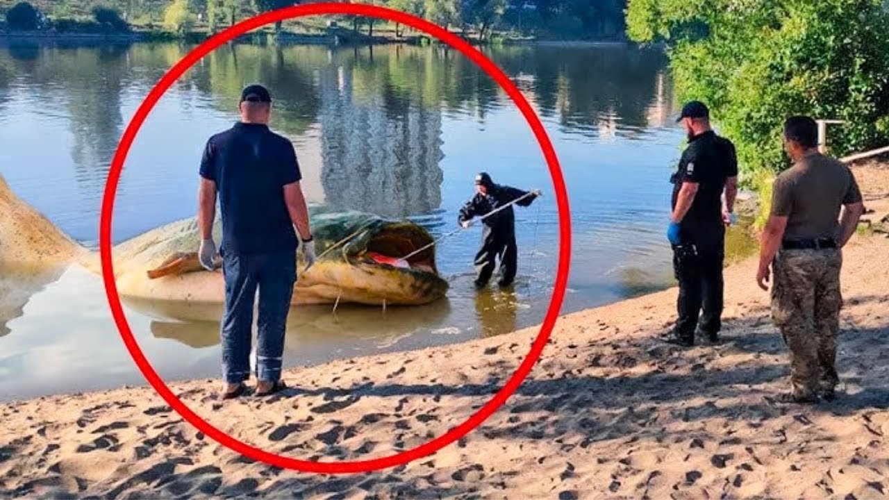 Fisherman Catches Gigantic Fish - When He Looks Inside Its Mouth, He ...