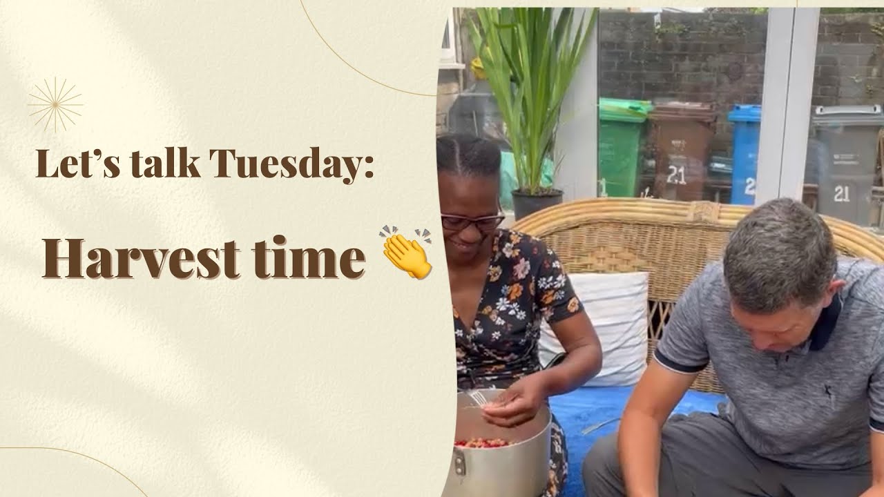 Lets talk Tuesday: Harvest season 👏👏 - YouTube