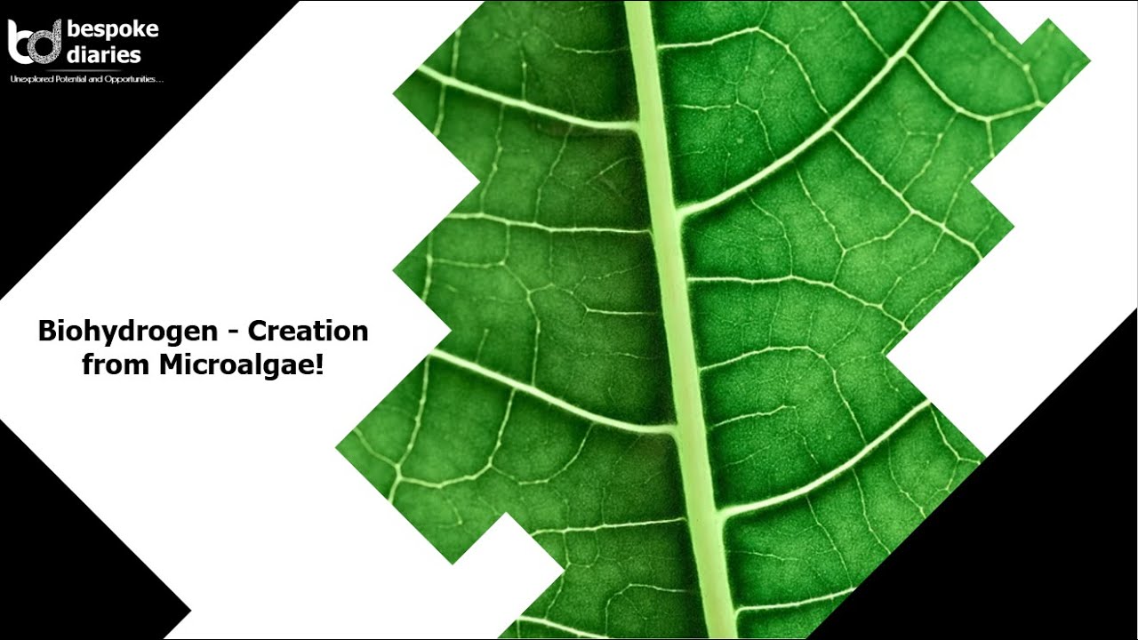 Biohydrogen - Creation from Microalgae! - YouTube