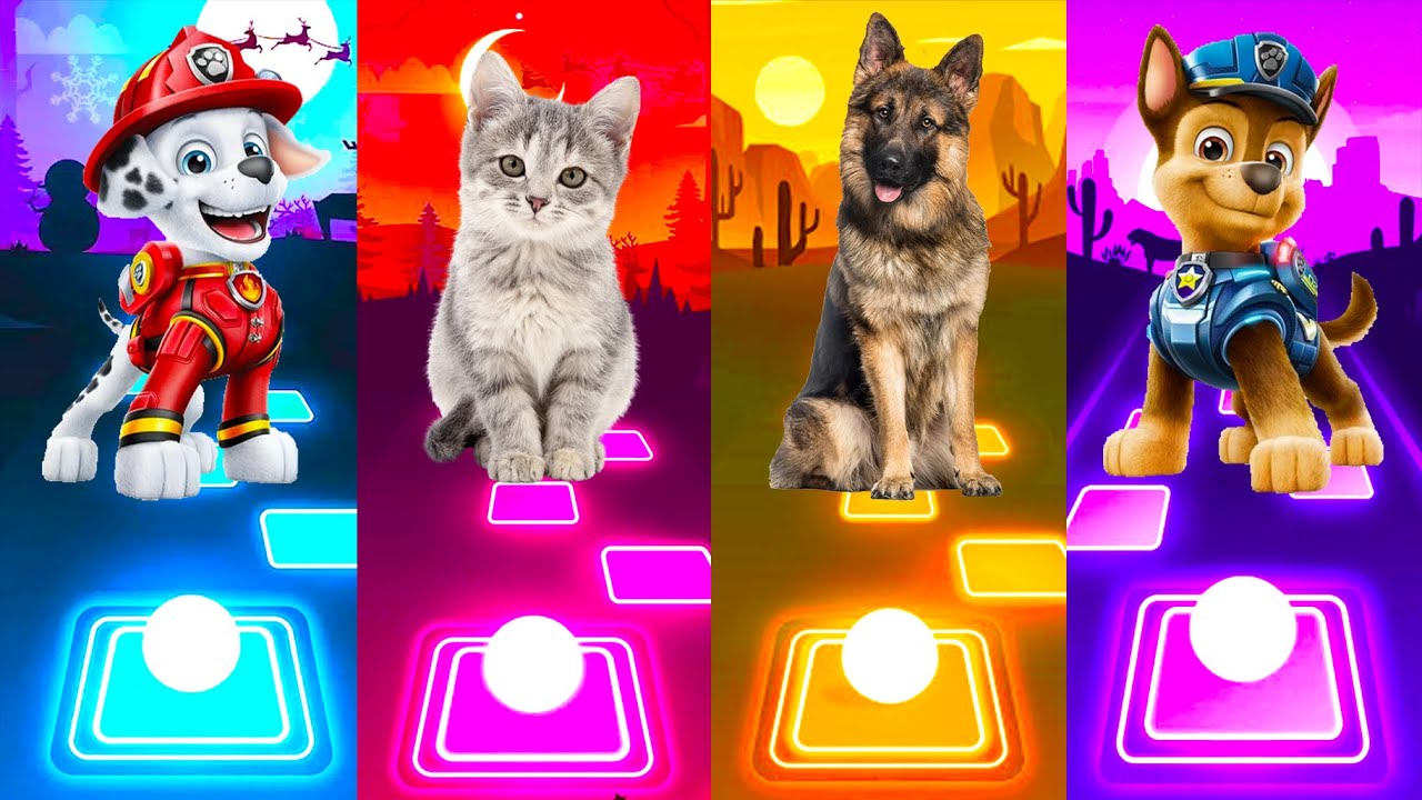 Marshall - Cat - Dog - Chase | Tiles Hop EDM Rush #pawpatrol #dogcat ...