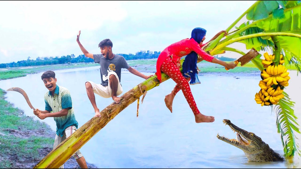 Top Comedy Video Amazing Funny Video 😂 Try To Not Laugh Episode 221 By ...