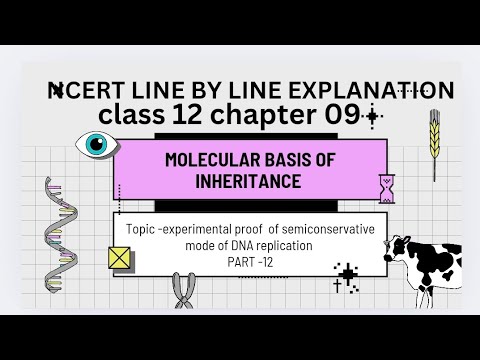 experimental proof of semiconservative mode of DNA replication|| NCERT ...