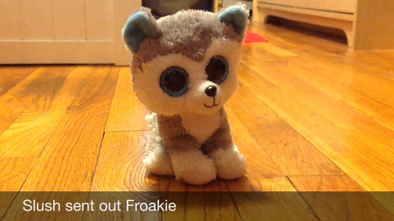 Beanie Boo Pokemon Battle - YouTube