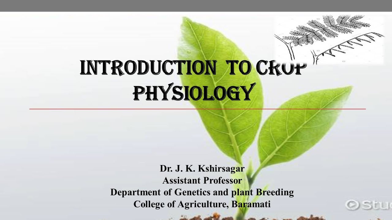 BOT-111 Sem-1 polytechnic Lecture no. 1 Introduction to crop physiology ...