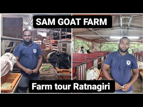 SAM GOAT FARM full farm tour palai concept Ratnagiri khed - YouTube
