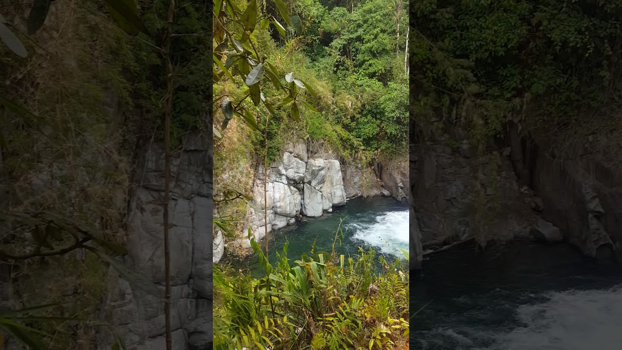 Reserva Cloudbridge: un paraíso en Pérez Zeledón - YouTube