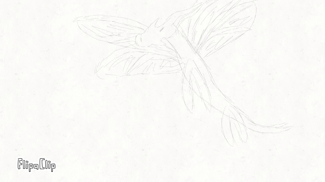 Hivewing fly practice scetch - YouTube