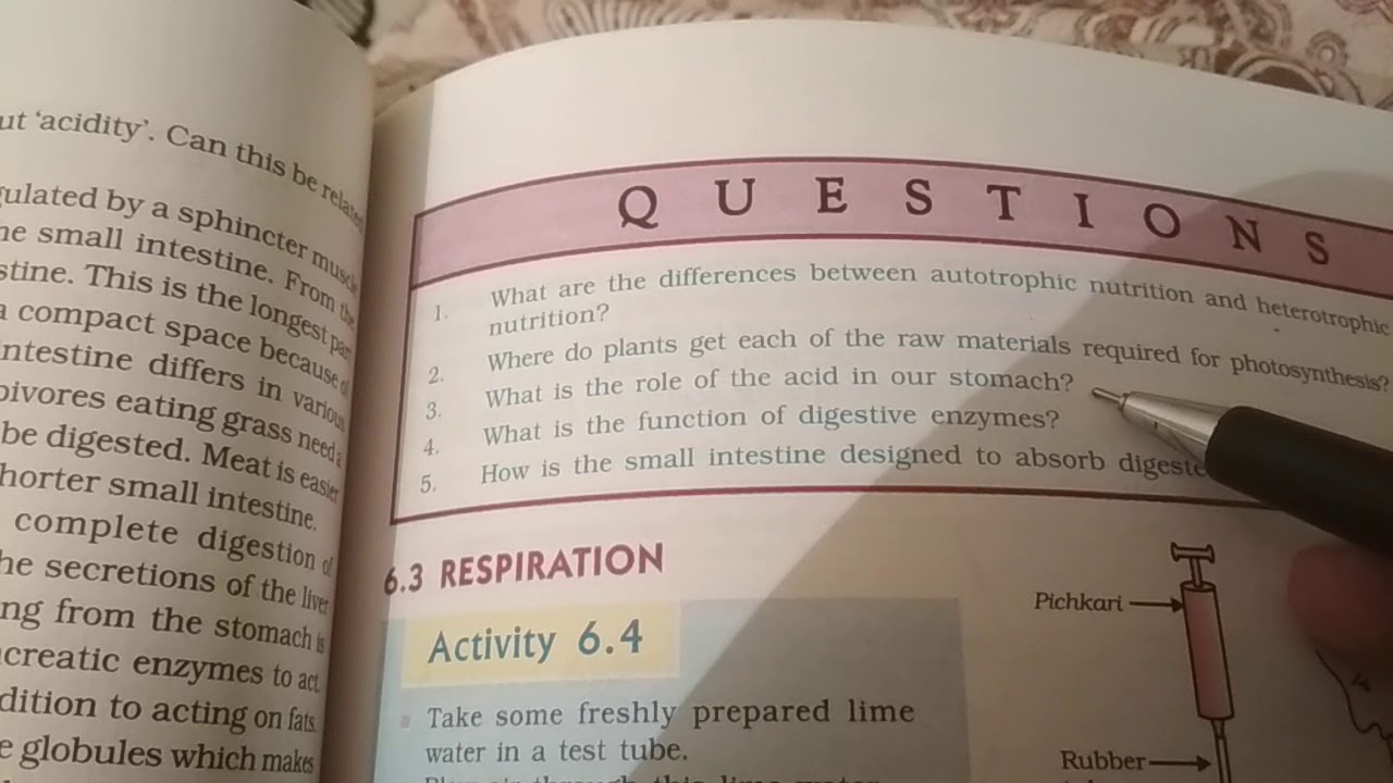 Life processes Ncert Class 10 Some important Questions - YouTube