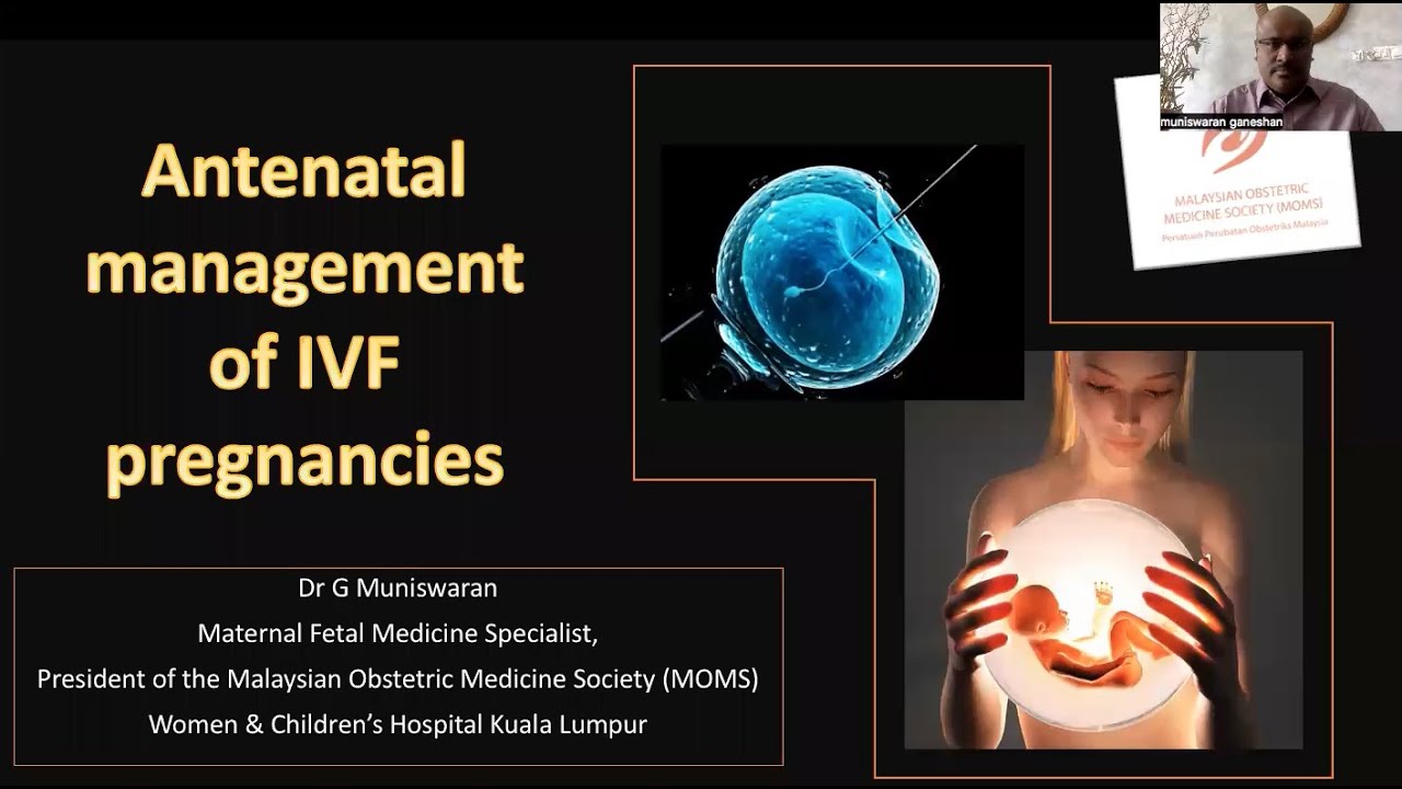 Antenatal management of IVF pregnancies - YouTube