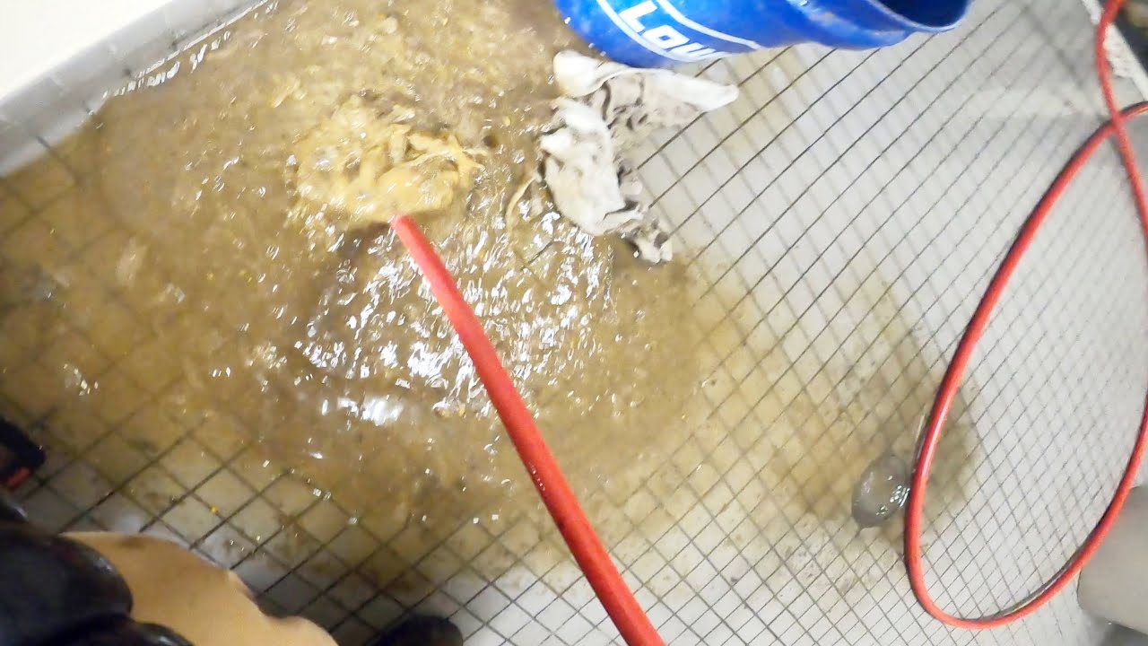 GROSS SEWER BLOCKAGE - Drain Pros Ep. 43 - YouTube