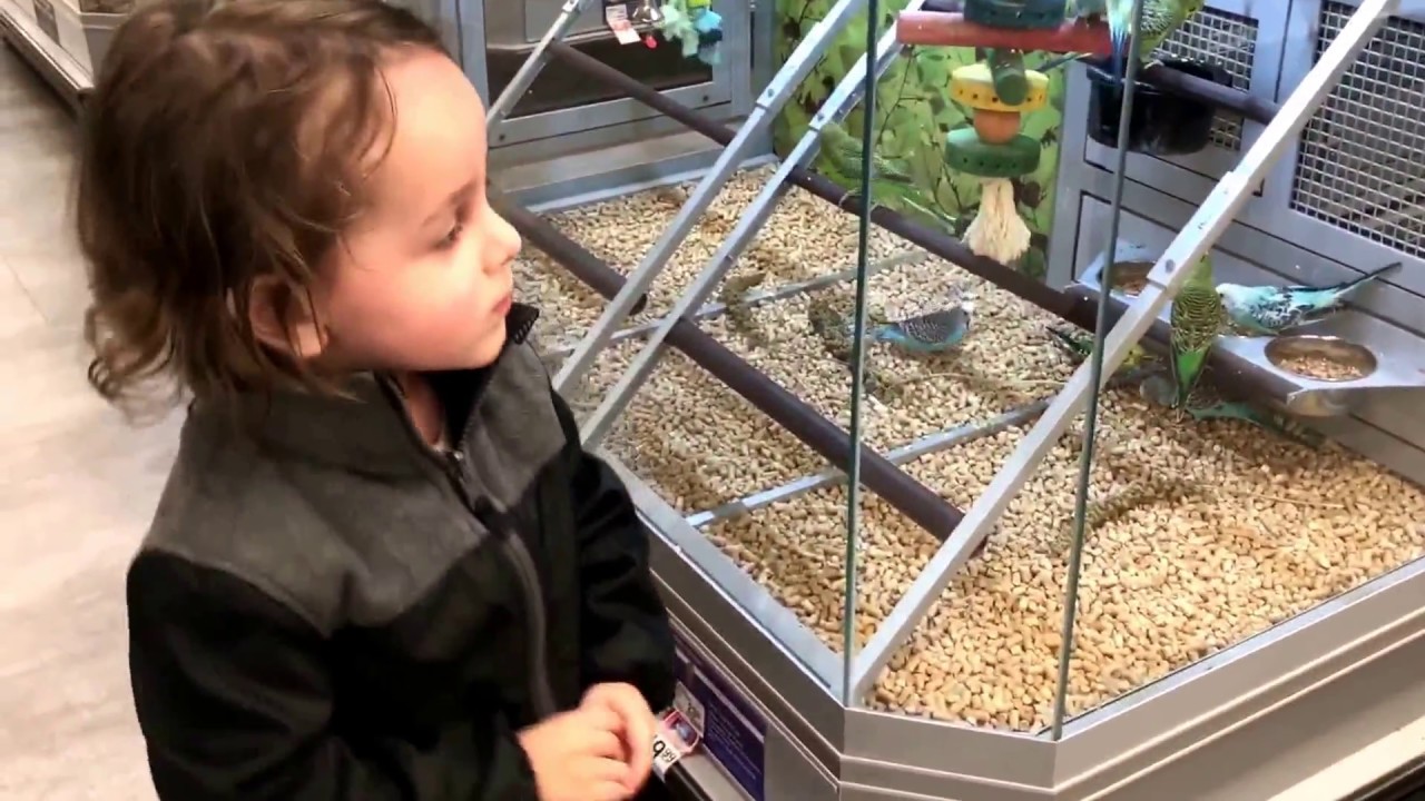 Toddler Time - Saturday Night with Paul at PetSmart! - YouTube