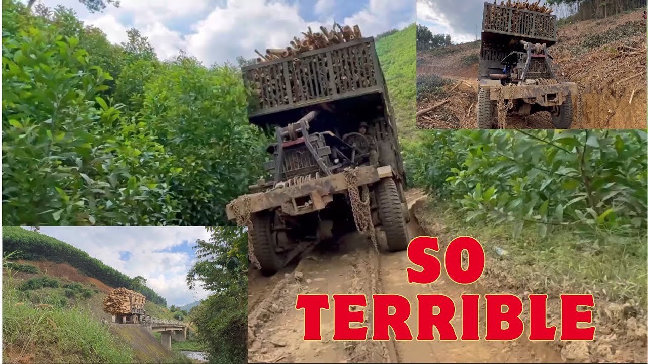 Timber trucks are too terrible and overloaded. _ Xe độ TV - YouTube