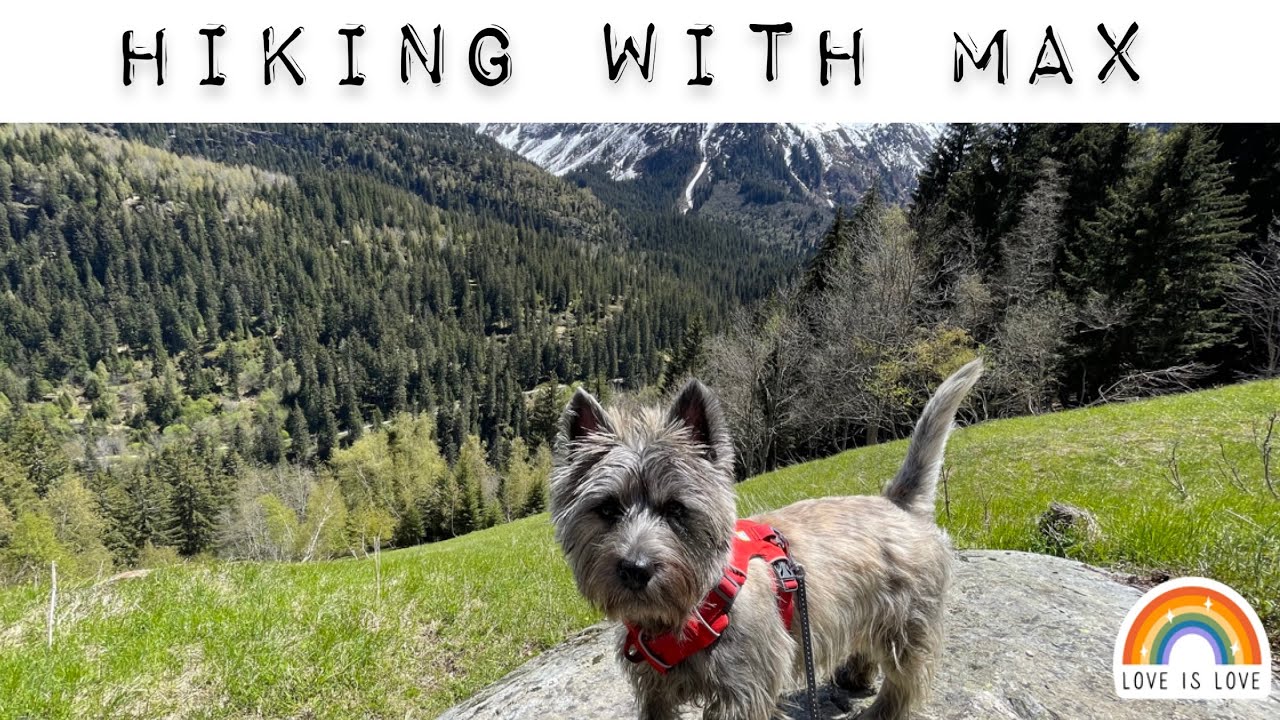 Hiking in the mountains above Les Contamines Montjoie - near Saint ...