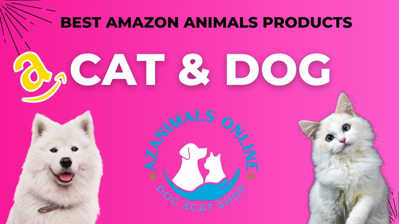 Best amazon animals products/ azanimalsonline - YouTube