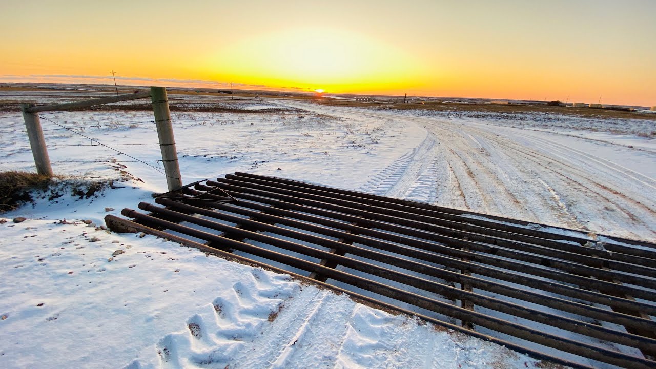 What’s A Cattle Guard / Cattle Grid / Texas Gate - YouTube
