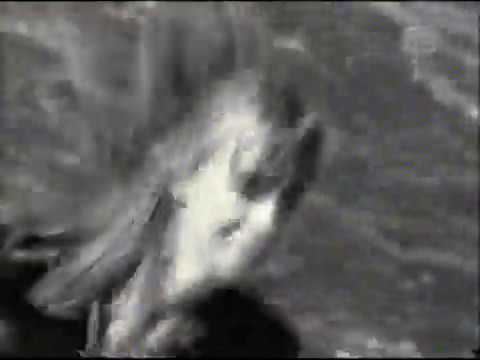 TSN Reebok Caribbean Workout with David Snively - Hi-Lo Aerobics