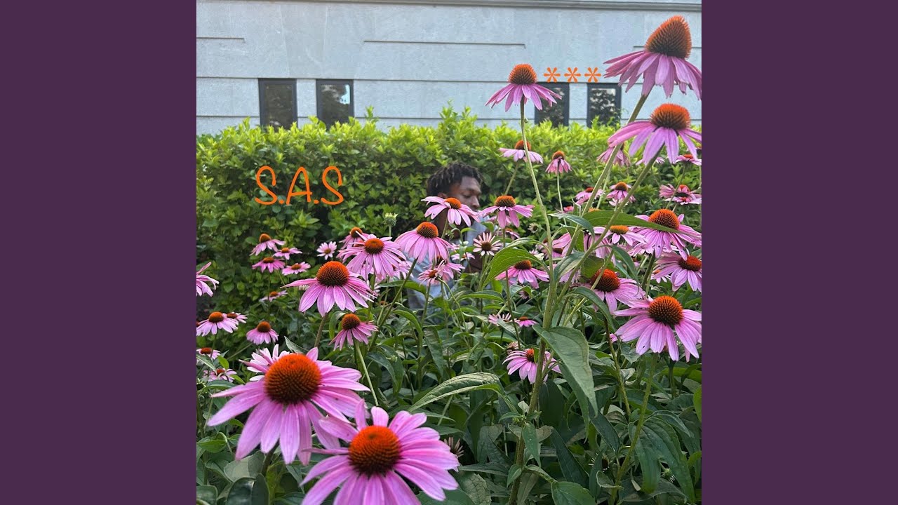 Coming down (interlude) - YouTube