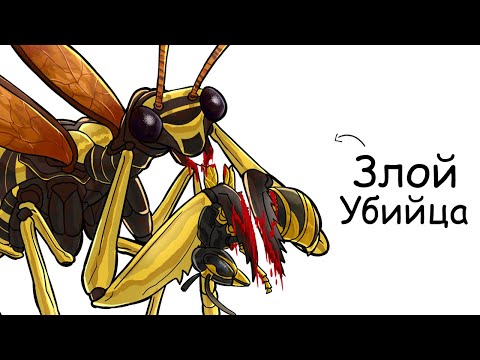 Ты – Оса-Богомол (И ЭТО ВСЯ ТВОЯ ЖИЗНЬ)