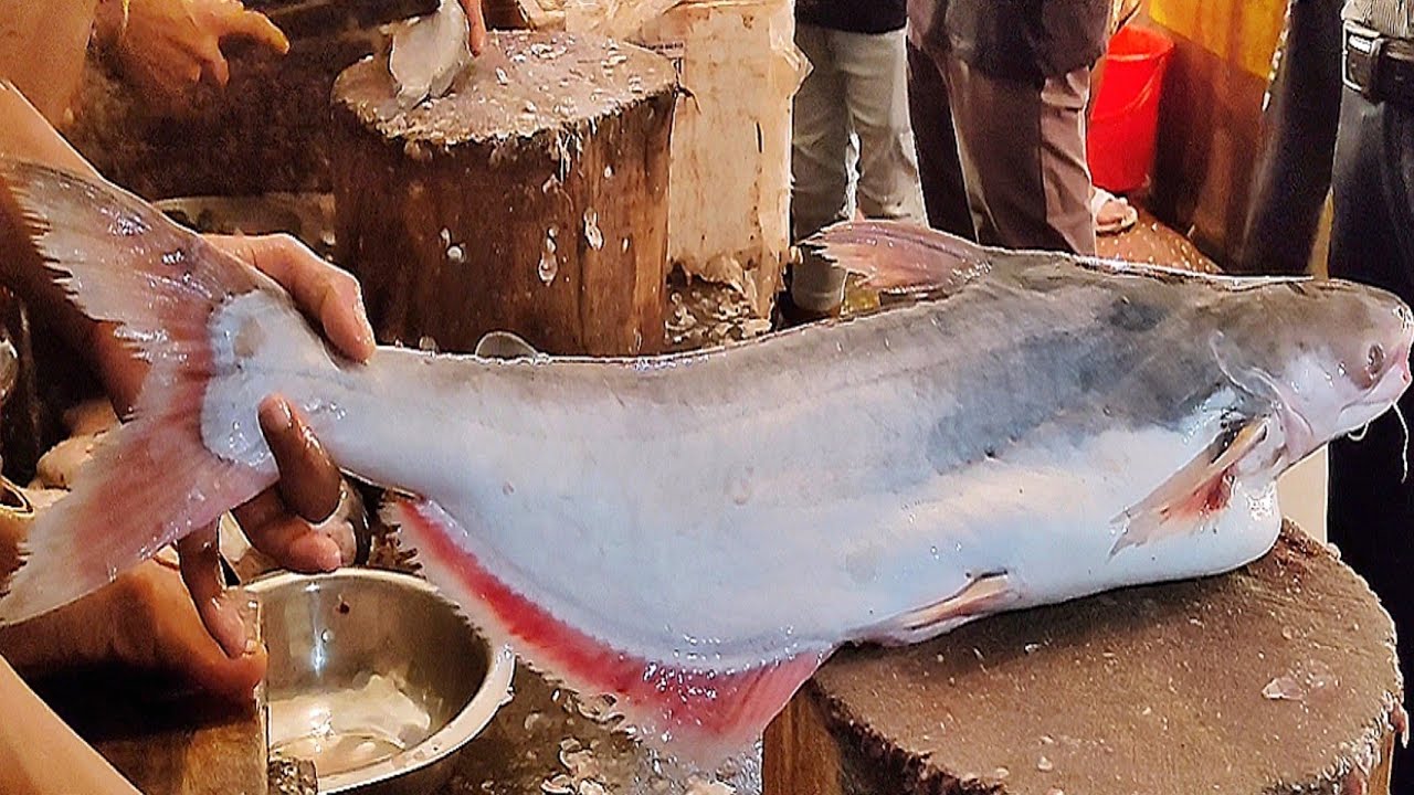 Amazing Delicious Fish || Huge Sea Pangas Fish Cutting By Expert Fish ...