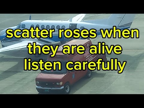 Let Us Change Our Mind Set And Help Each Others Before It Is Too Late ...