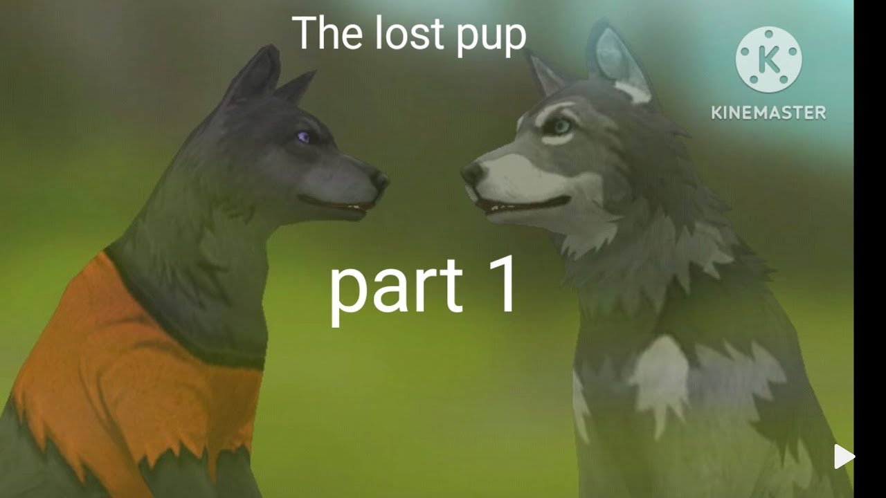 The lost pup's full life story part 1| the parents - YouTube