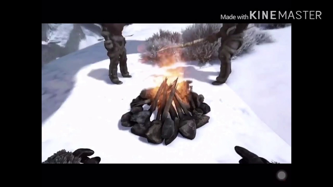 Ark books ! - YouTube