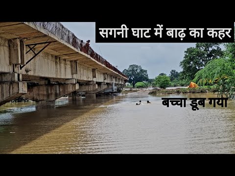सगनी घाट में बाढ़ | Sagni Ghat Mein Badh | Shivnath Nadi Mein Badh ...