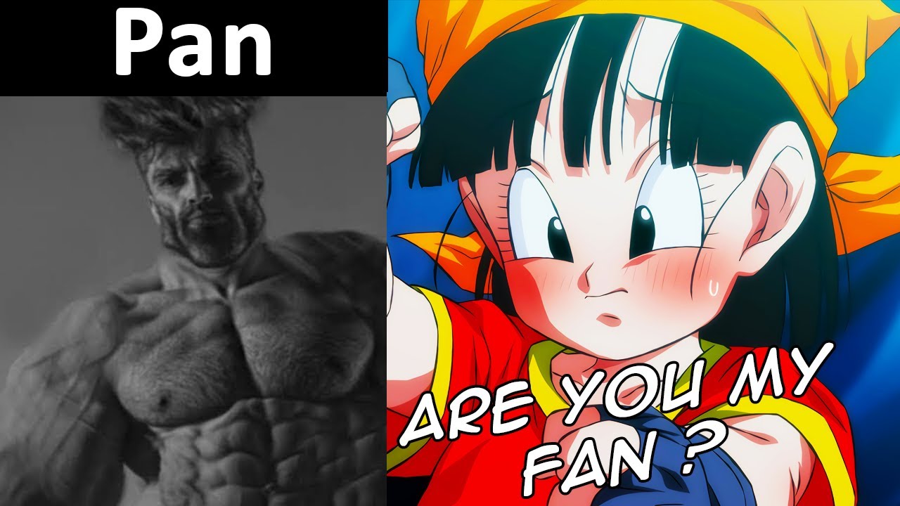 POV : You Are A Pan Fan - YouTube