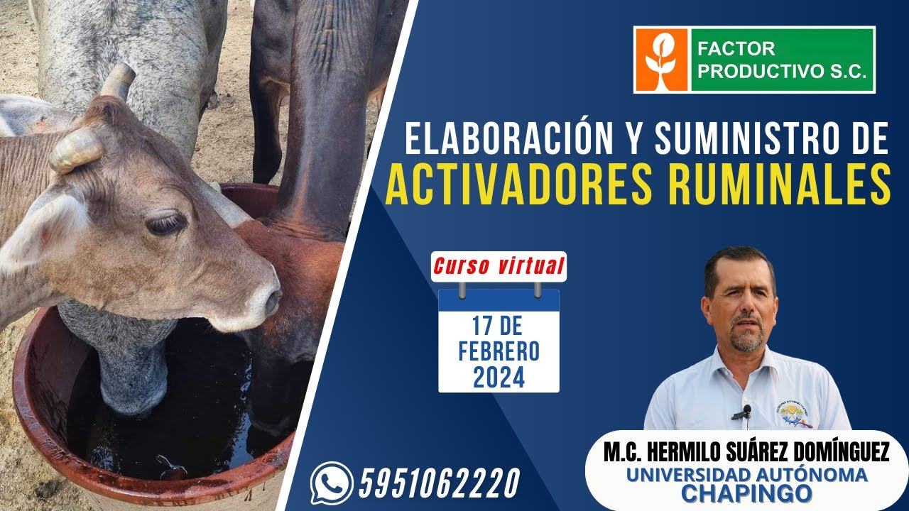 CURSO: ELABORACIÓN Y SUMINISTRO DE ACTIVADORES RUMINALES - YouTube