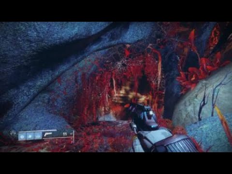 Destiny 2 - Finally got me Austringer PvE God Roll hand cannon - YouTube