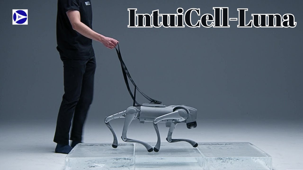 Revolution in Robotics-Robot Dog That Can Learn on Its Own Like a Human ...