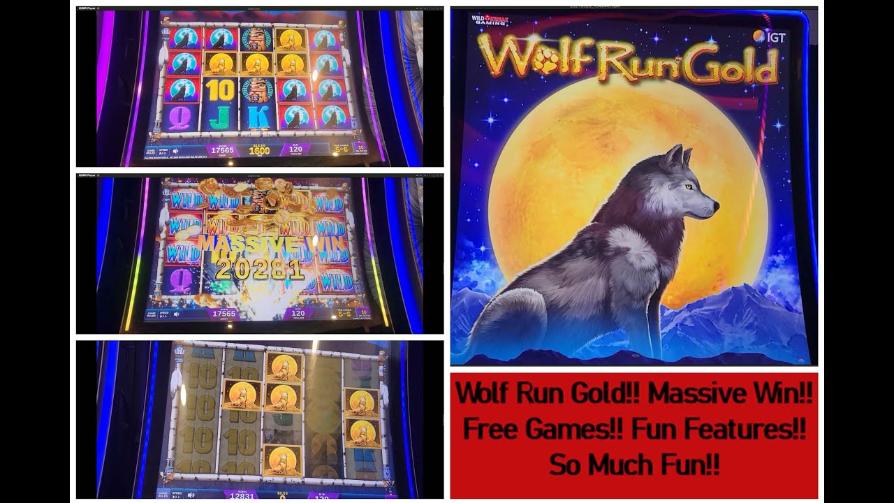 Wolf Run Gold!! Free Spins!! Fun Features!! 슬랏 - YouTube