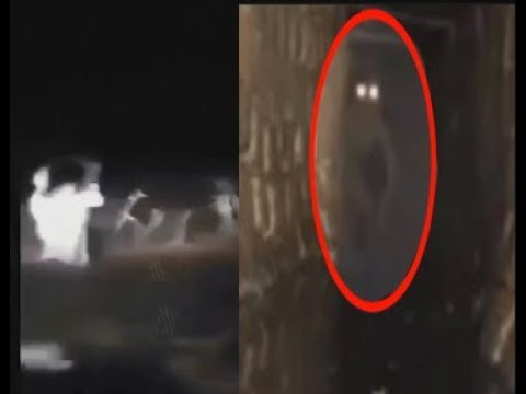 DÜNYADA GÖRÜLMÜŞ EN KORKUNÇ YARATIKLAR(CANAVARLAR)