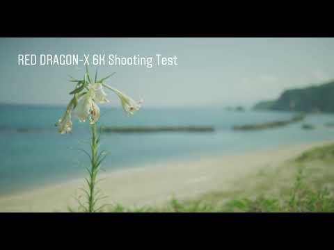 RED DRAGON-X 6K Shooting Test - YouTube