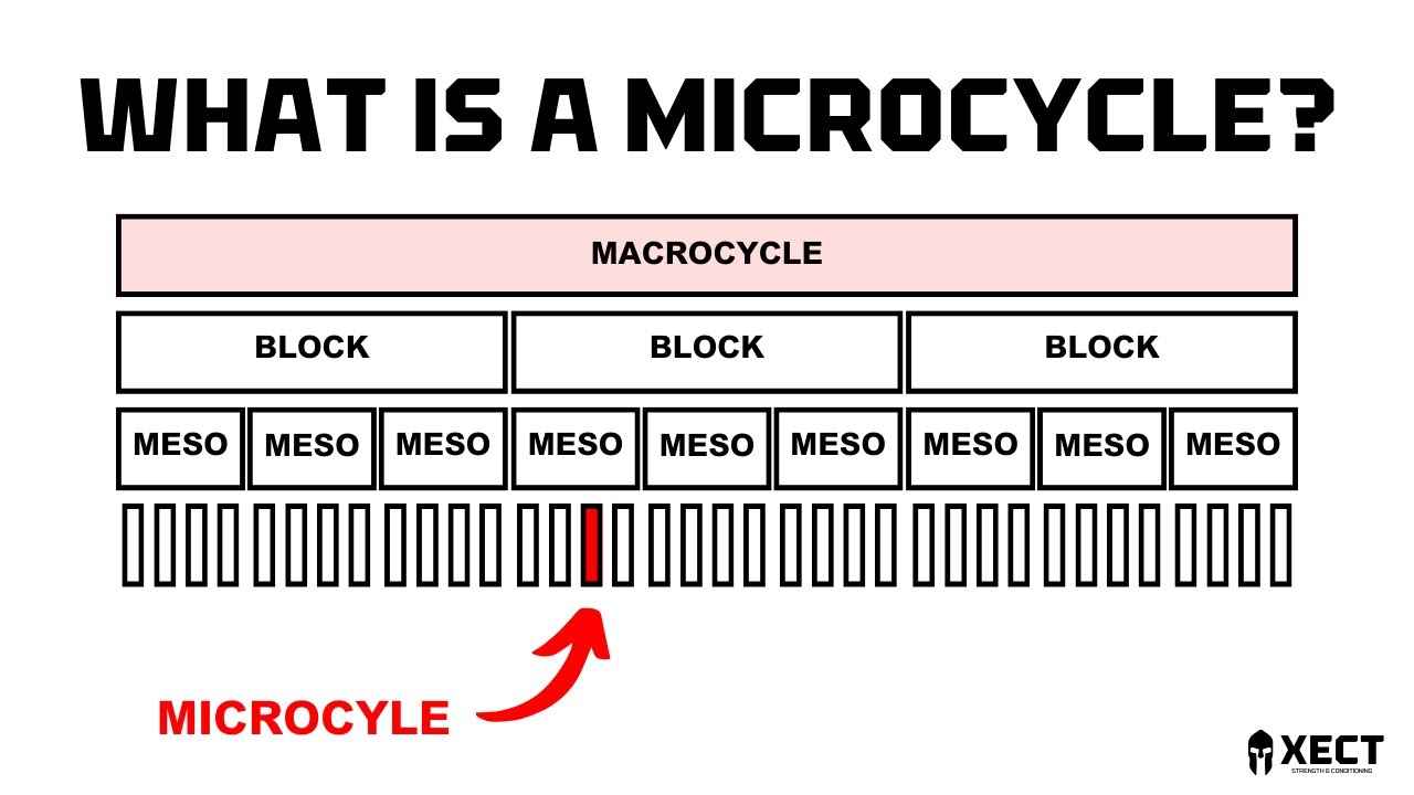What is a microcycle? - YouTube
