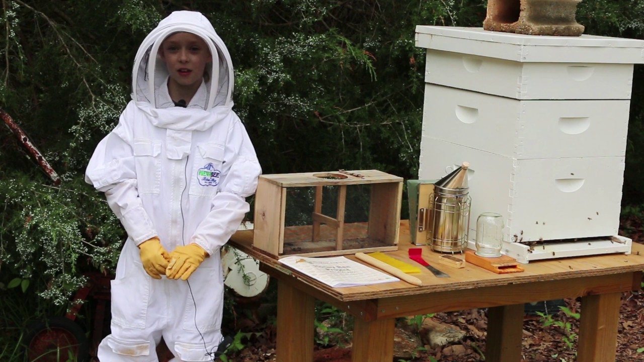 Beekeeping By Lilly - YouTube