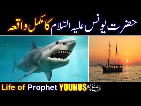 Hazrat Younus (As) Ka Waqia | life of Prophet Younus | All Life Events In Detail | Qisas ul Ambiya