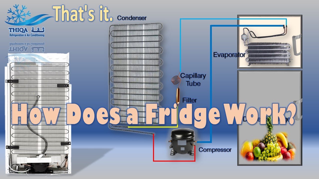 How does a Refrigerator work? #refrigerator #fridgepartsprice - YouTube