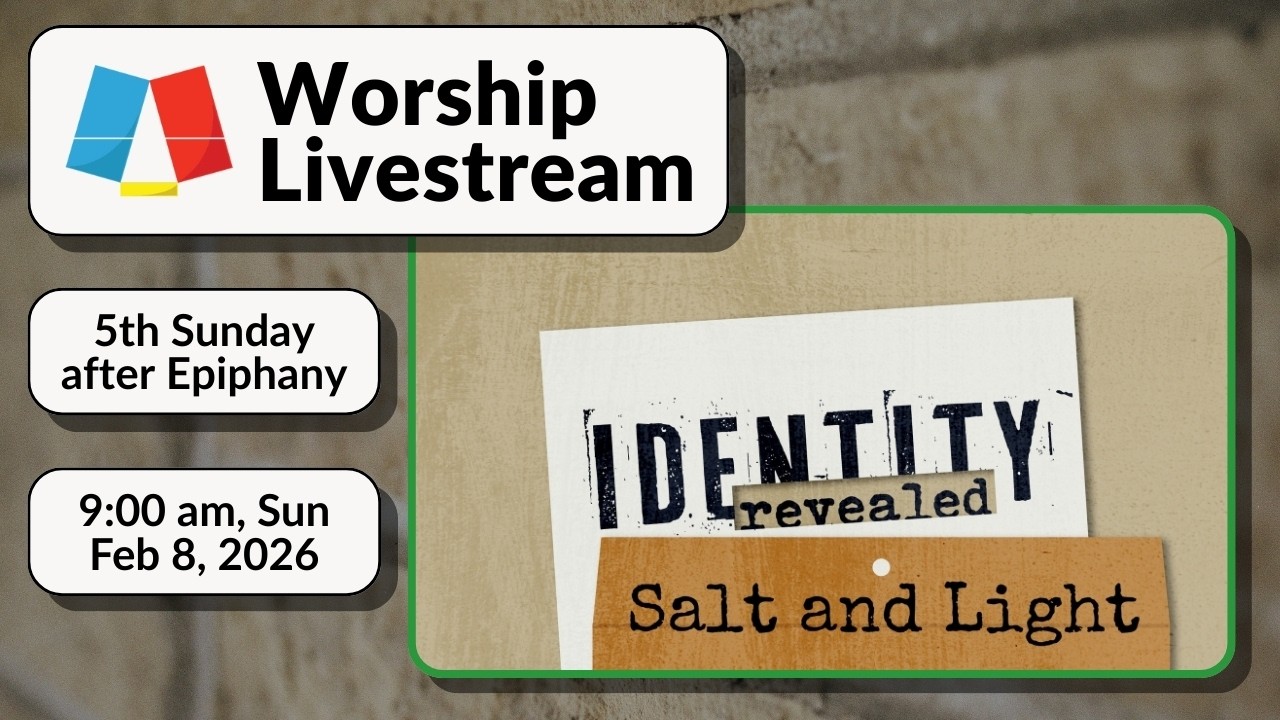 Identity: Salt and Light || Identity Revealed - YouTube