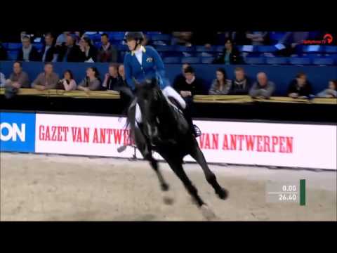 DOMINATOR Z: stallion by Diamant de Semilly x Cassini, www.equine ...