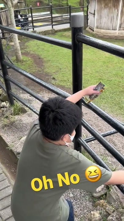 Ooh Noo ooh noo noo nooo 😆 #shorts #ohno - YouTube