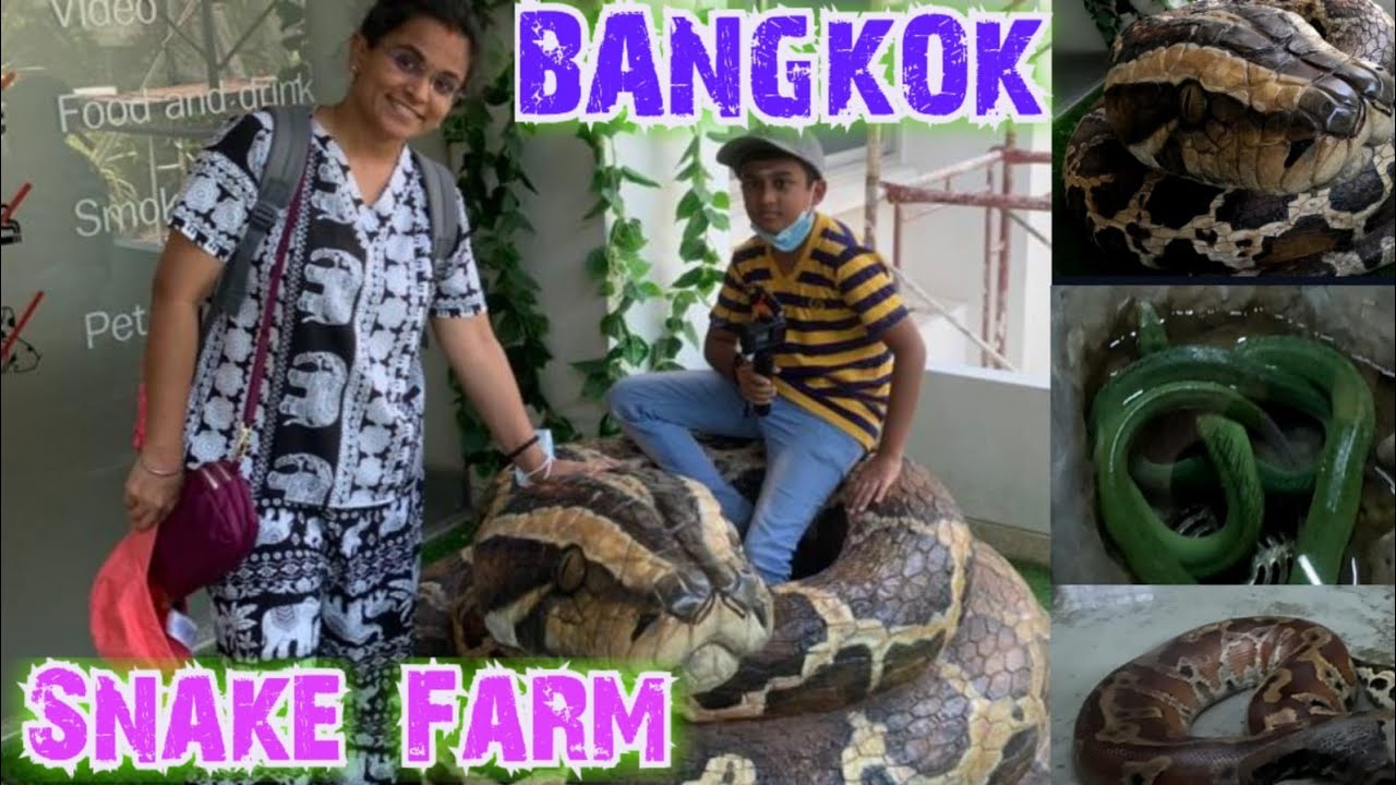 Snake Farm in Bangkok | Explore Bangkok, Thailand | Tamil Vlog - YouTube