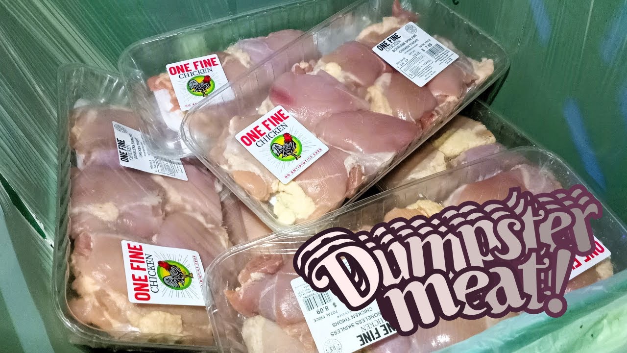 Dumpster Diving For Food Bins Full A Chicken! - YouTube