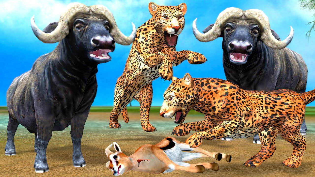 Giant Buffalo vs Zombie Leopard Cheetah Attack Wild Goat Save by ...