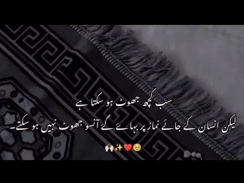 Umm e Hani family vlog is live! - YouTube