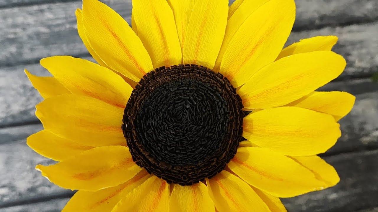 how to make paper sunflower@kiran.gurupanchayan #flowercraft # ...