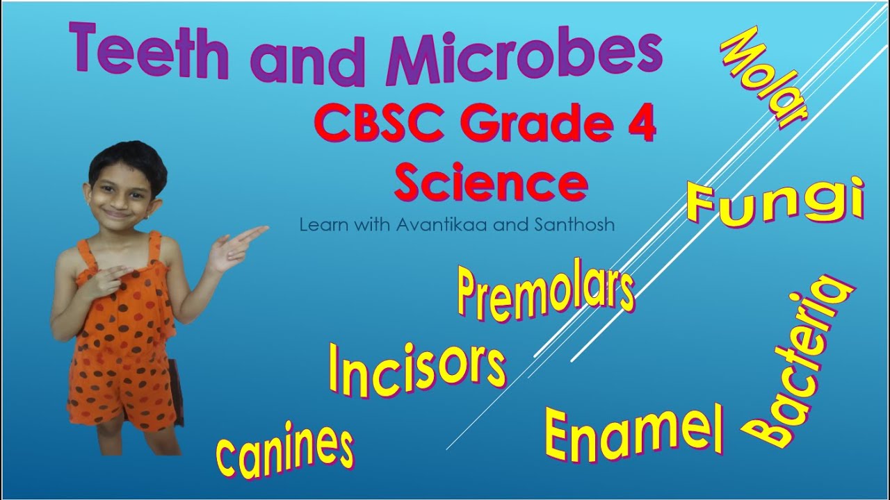 🆕cbse Grade 4 Teeth And Microbes Science Lesson Cbse Grade 4 Teeth And ...