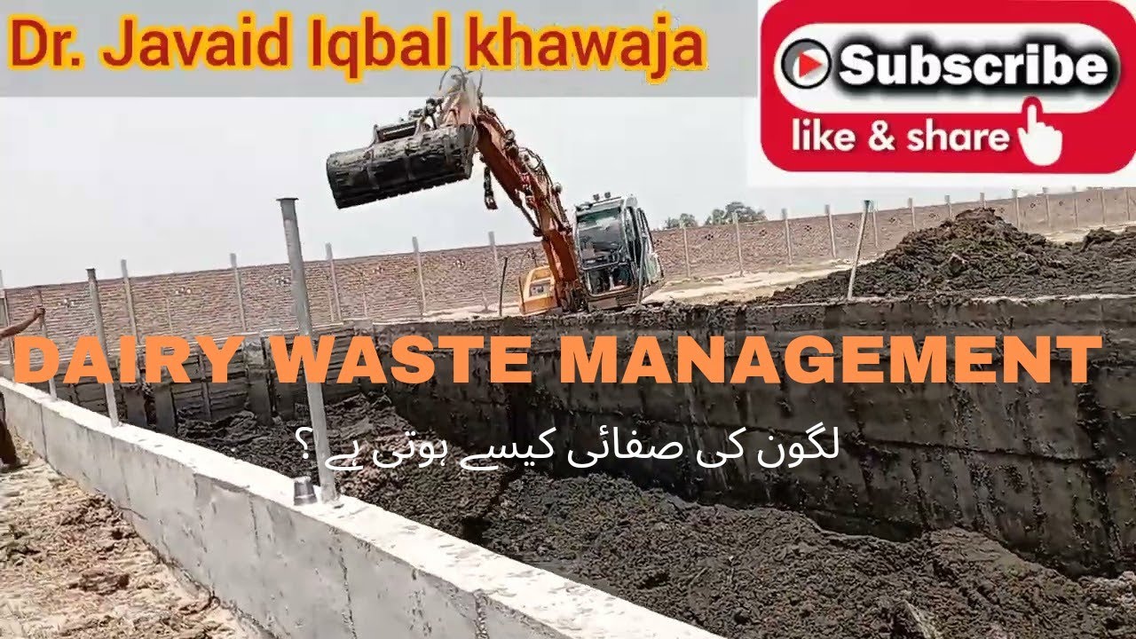 Dairy waste management | Lagoon cleaning | لگون کی صفائی کیسے ہوتی ہے ...
